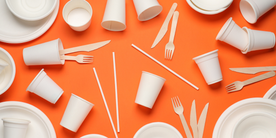 Axxion | Eco-friendly Single-Use Food Service Products – Axxion Store